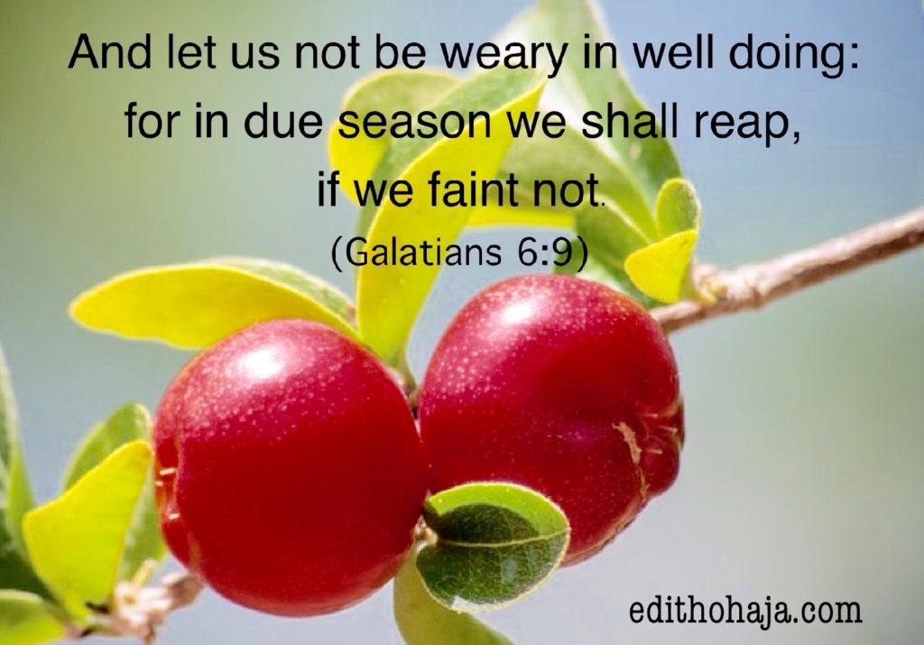 5 THINGS TO REMEMBER WHEN YOU ARE GIVING BUT SEEM NOT TO BE RECEIVING ...